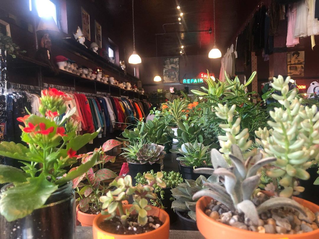 The 16 Best Thrift Stores in Seattle - Seattle Vacation Home