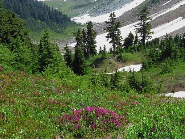 A Visitor’s Guide to Winter in Seattle - Seattle Vacation Home